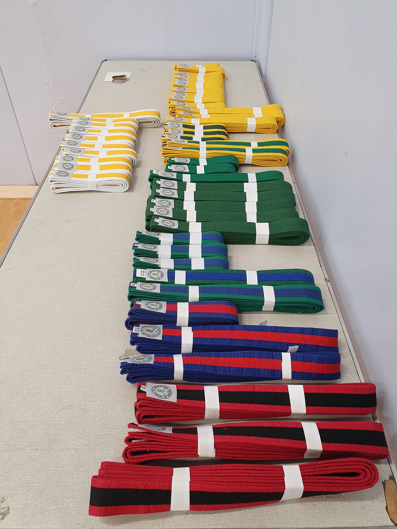 TAEKWONDO COLOUR BELT GRADING - AO Taekwondo
